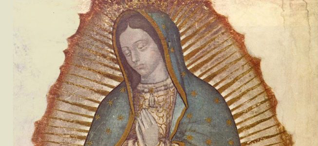 Do You Know the Secrets of the Tilma? – mexikath.net